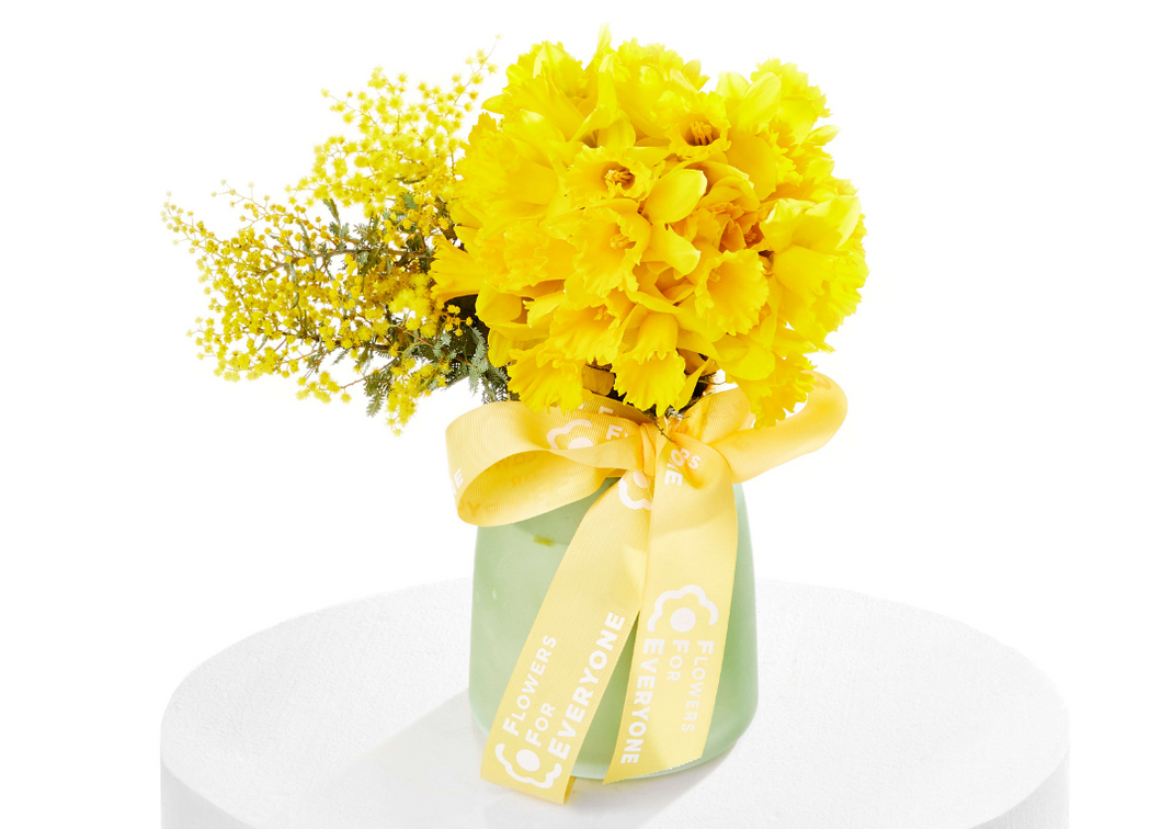 Daffodil Day Flowers & Arrangements | Flowers for Everyone