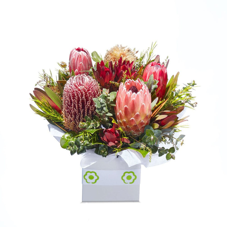 Australian Native Flowers & Bouquets | Flowers for Everyone
