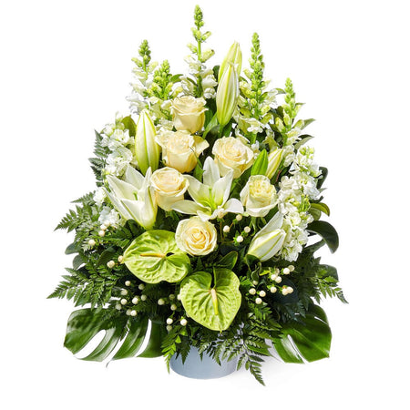 Pure Compassion Arrangement – Flowers for Everyone