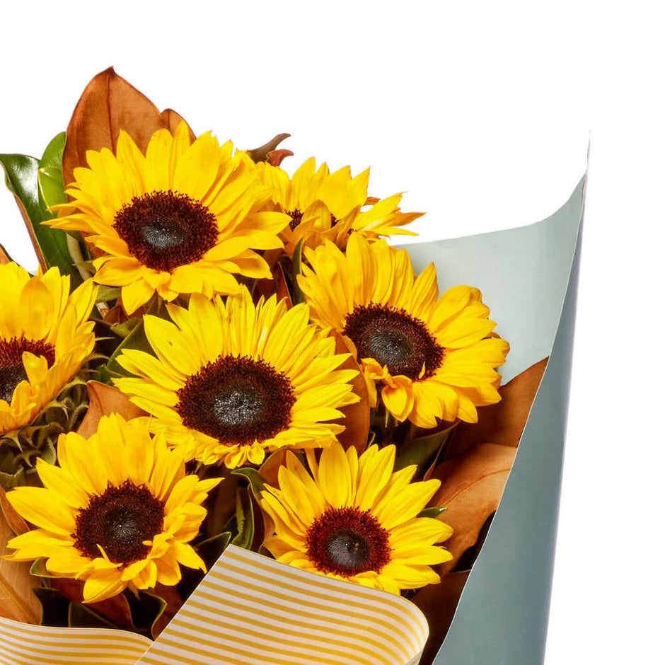 Flower Delivery Sydney | Flowers for Everyone