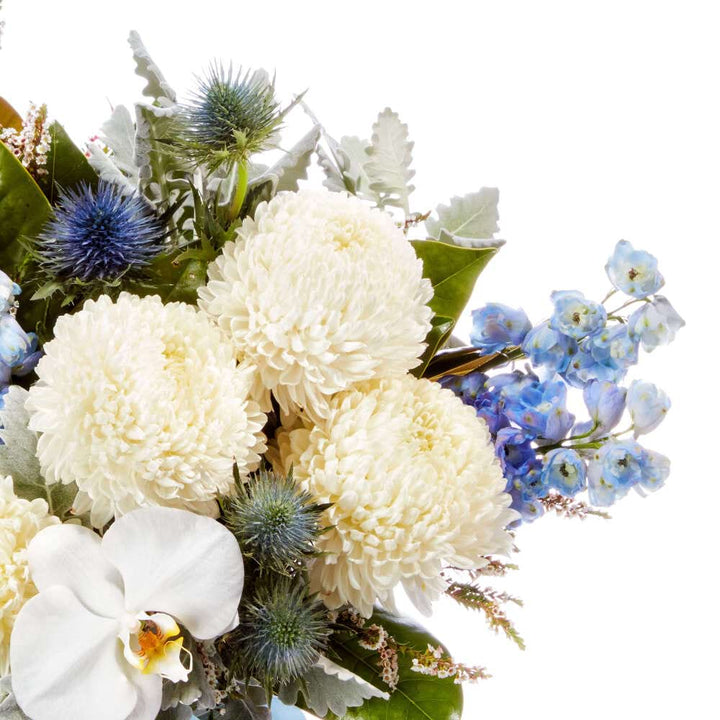 Hospital Flower Delivery & Gifts | Flowers for Everyone